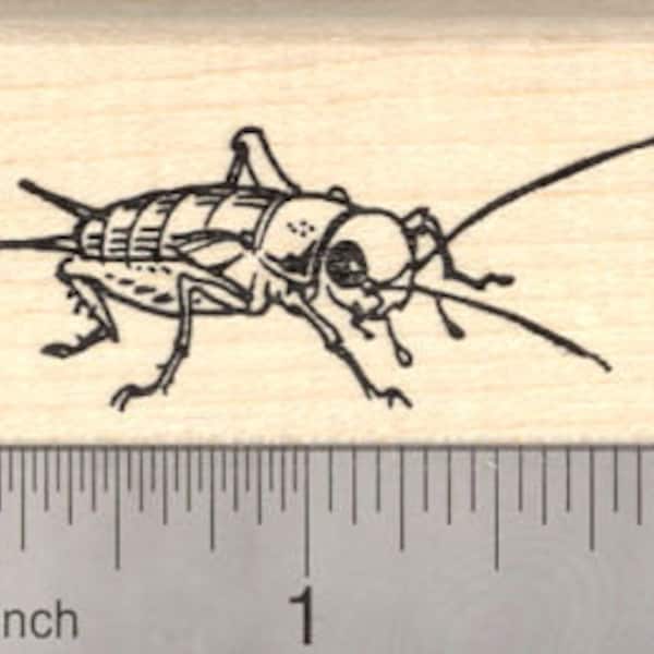 Cricket Stamp - Etsy