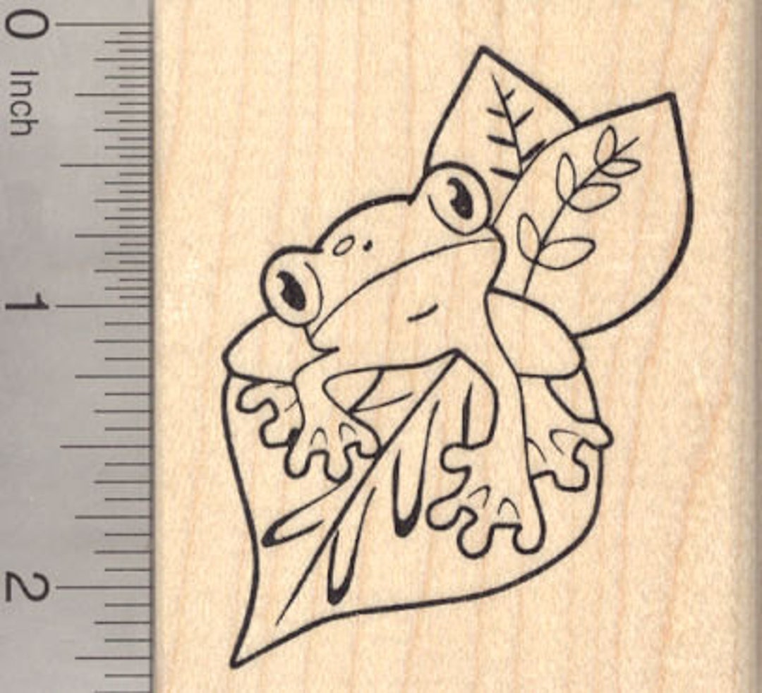 Tree Frog Rubber Stamp J24213 Wood Mounted - Etsy