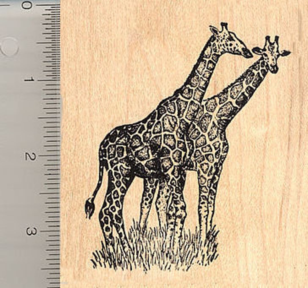 Giraffe Rubber Stamp, Large Giraffes M5904 Wood Mounted - Etsy