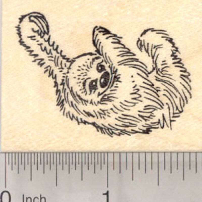 Sloth Rubber Stamp - Etsy