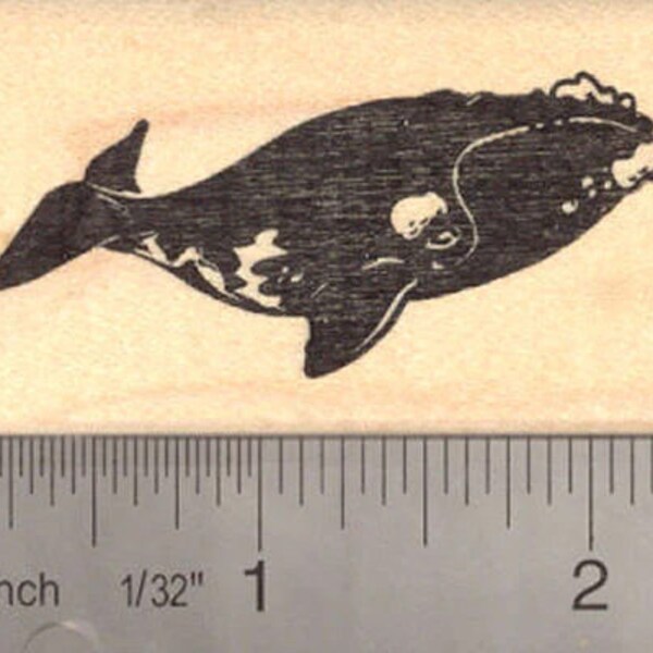 Whale Rubber Stamp - Etsy