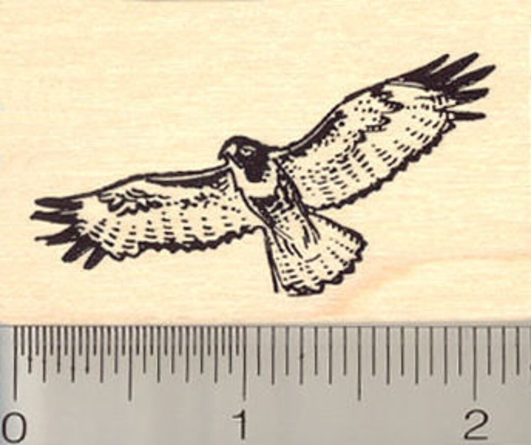 Hawk in Flight Rubber Stamp E11405 Wood Mounted - Etsy