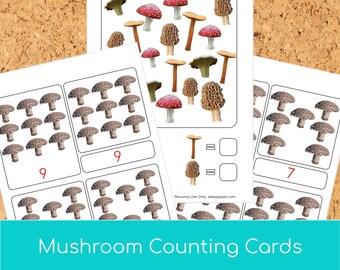 Montessori Mushroom 3 Part Cards | Etsy
