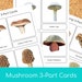 Montessori Mushroom 3 Part Cards - Etsy