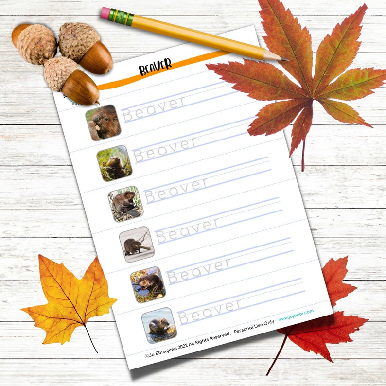 BEAVERS. 193 Little Adventures Pack - Printable Culture Packs for ...