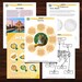 INDIA 193 Little Adventures Pack - Printable Culture Packs for Curious ...