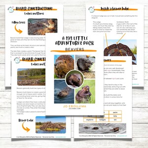BEAVERS. 193 Little Adventures Pack - Printable Culture Packs for ...