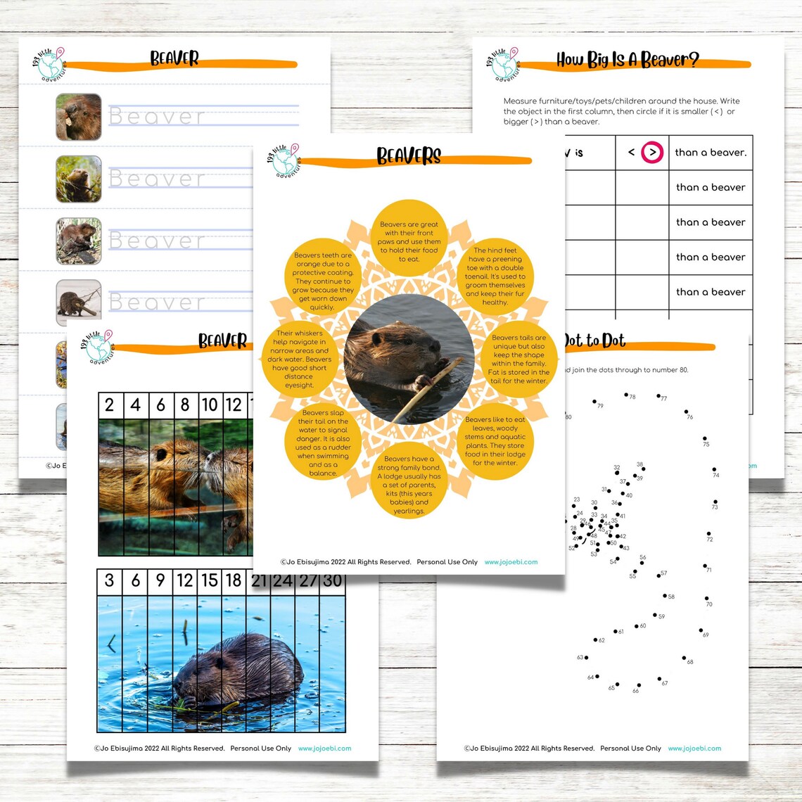 BEAVERS. 193 Little Adventures Pack Printable Culture Packs for Curious ...