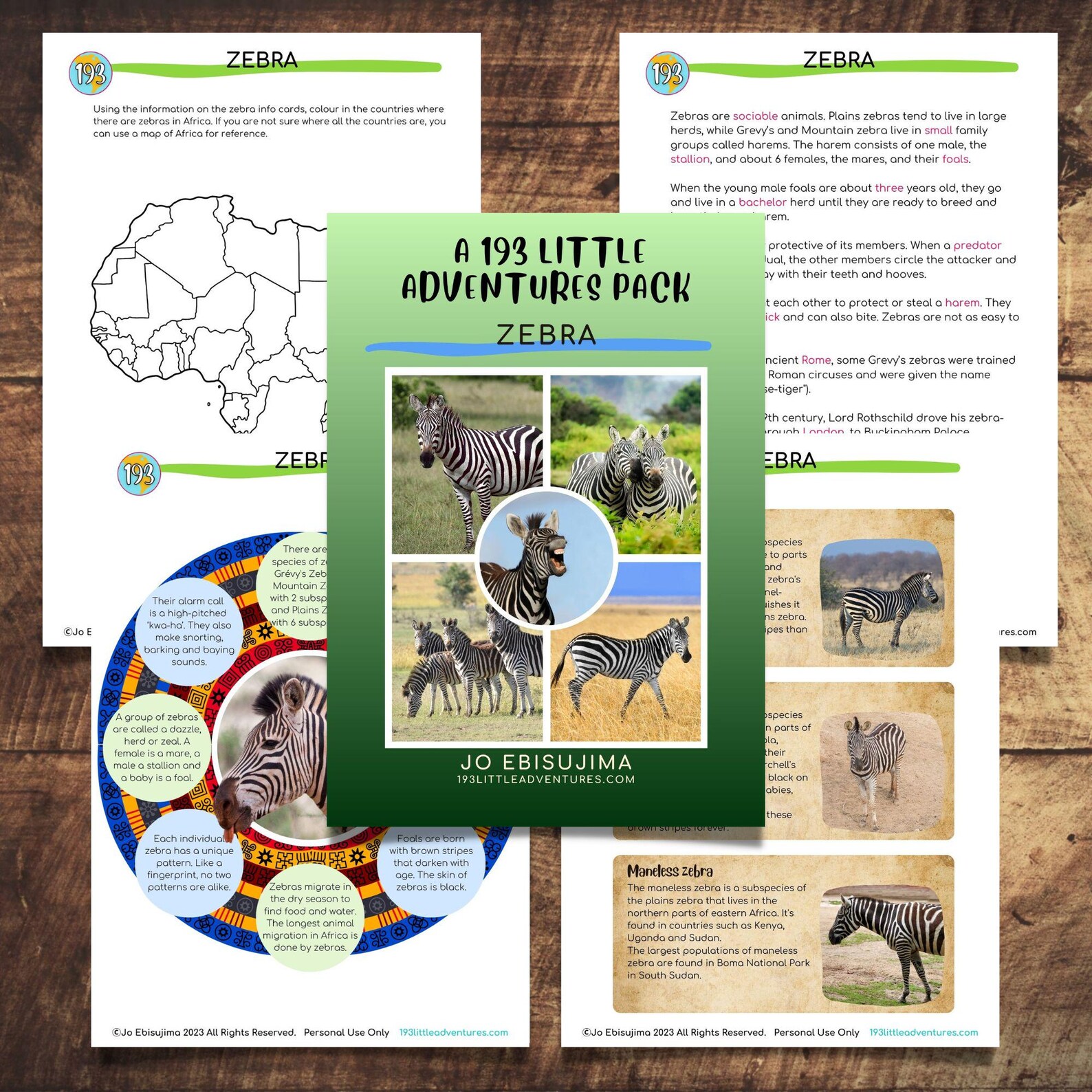 ZEBRA. 193 Little Adventures Pack - Printable Culture Packs for Curious ...