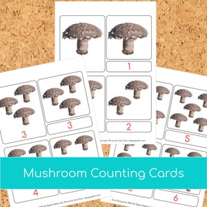 Montessori Mushroom Counting Cards - Etsy