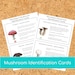 Montessori Mushroom Identification Cards PDF - Etsy