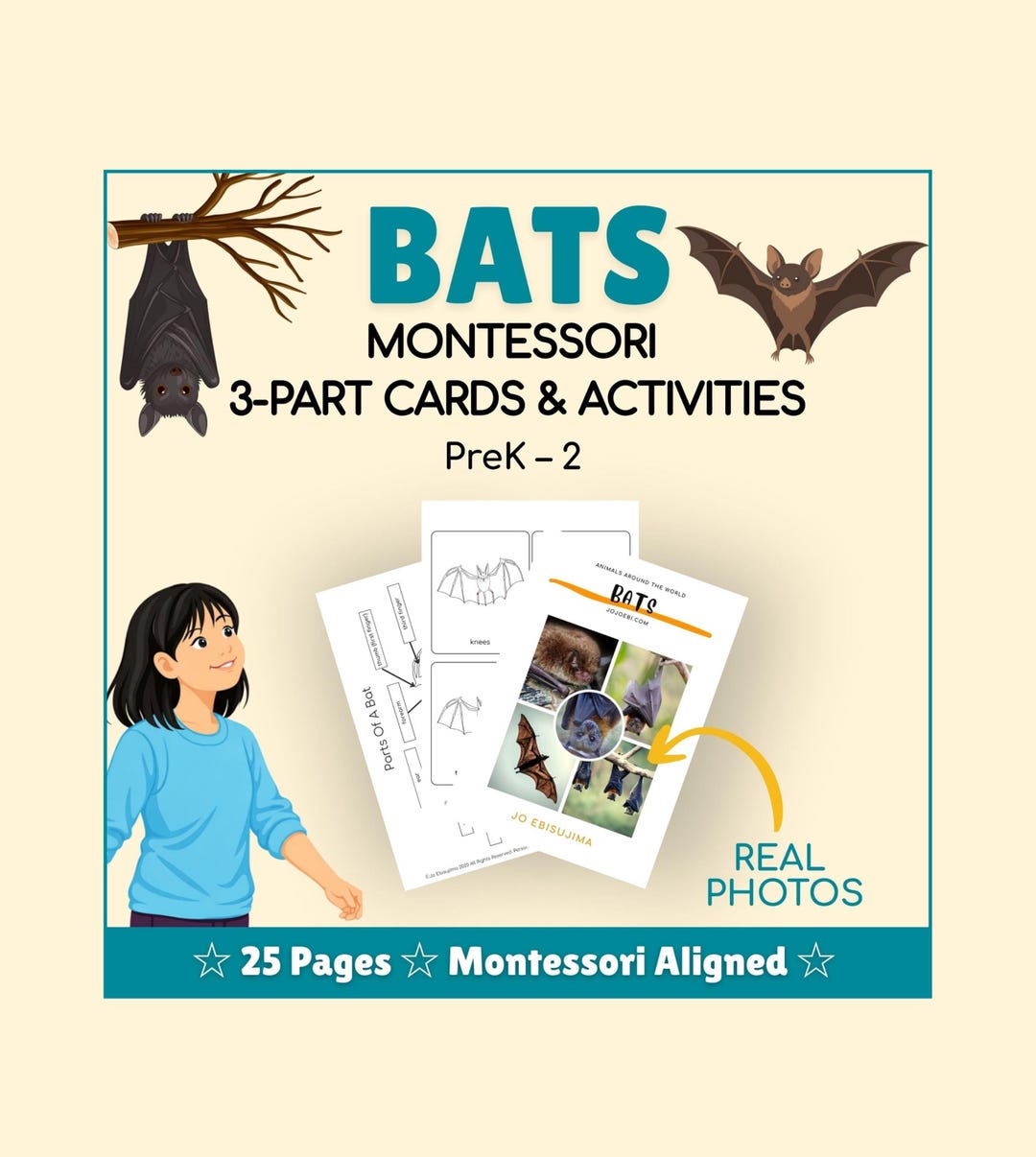 Montessori Bat 3-part Cards: Educational Printable (PDF) - Etsy