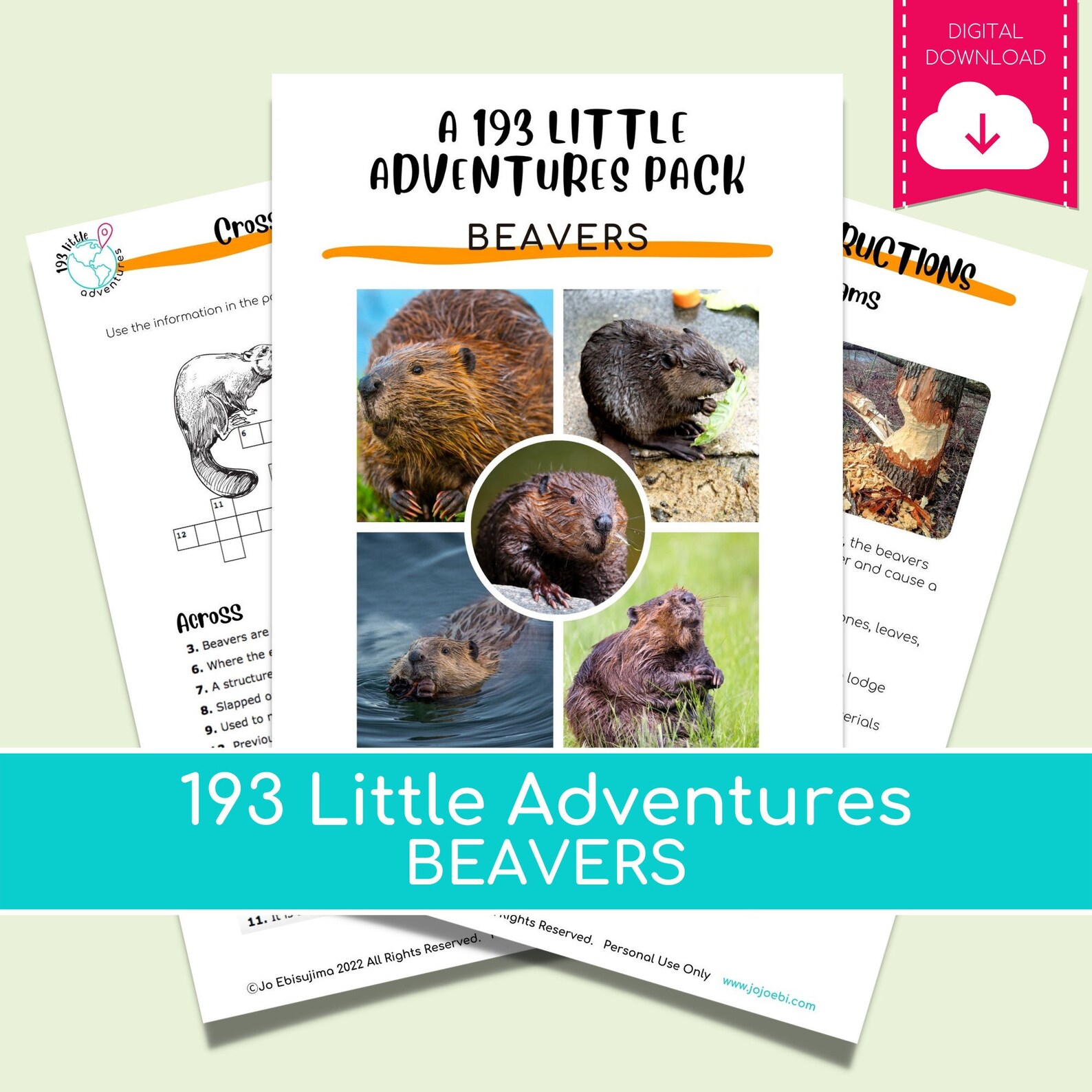 BEAVERS. 193 Little Adventures Pack Printable Culture Packs for Curious ...