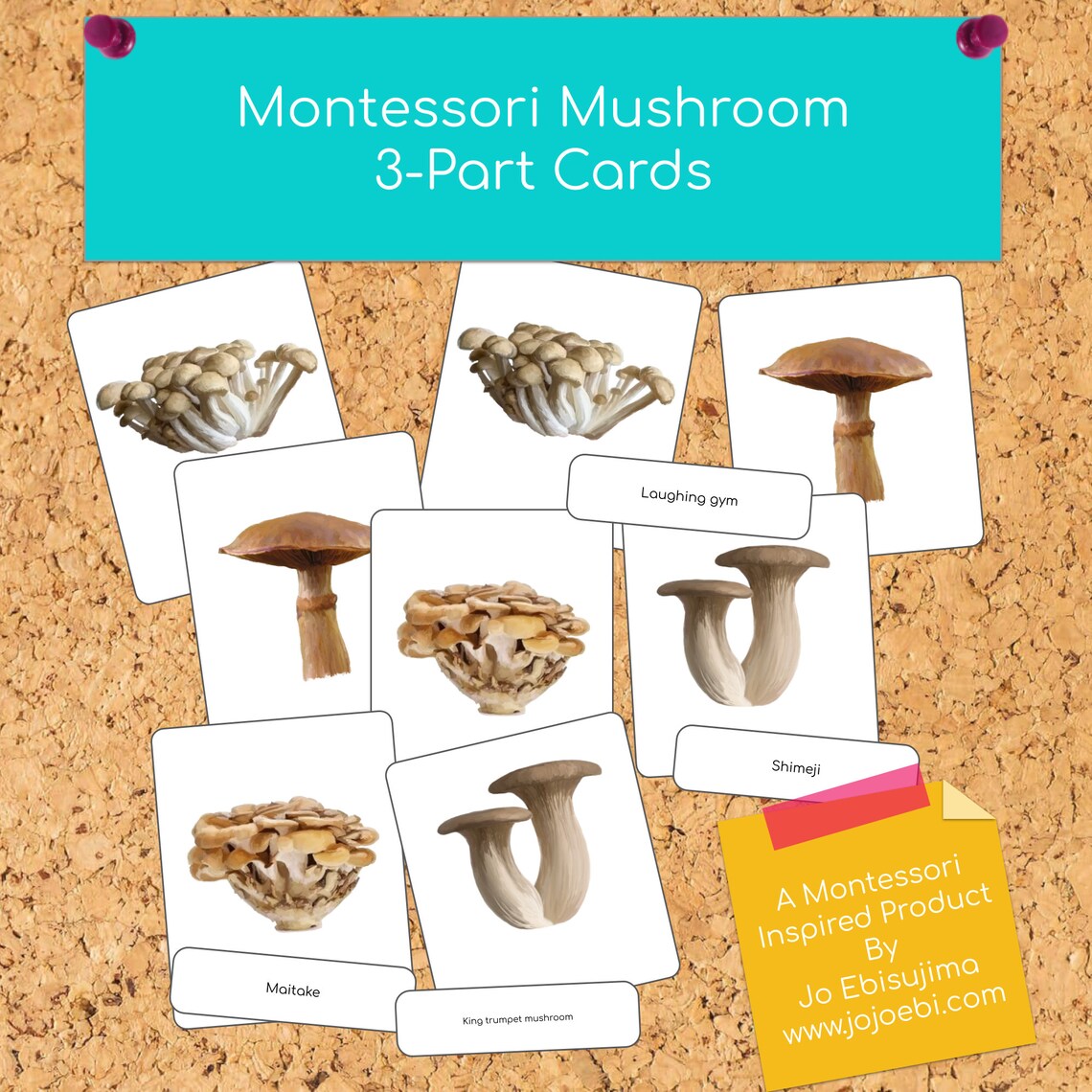Montessori Mushroom 3 Part Cards - Etsy