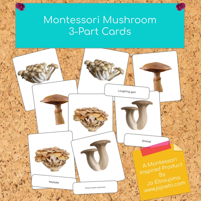 Montessori Mushroom 3 Part Cards - Etsy