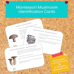 Montessori Mushroom Identification Cards PDF - Etsy