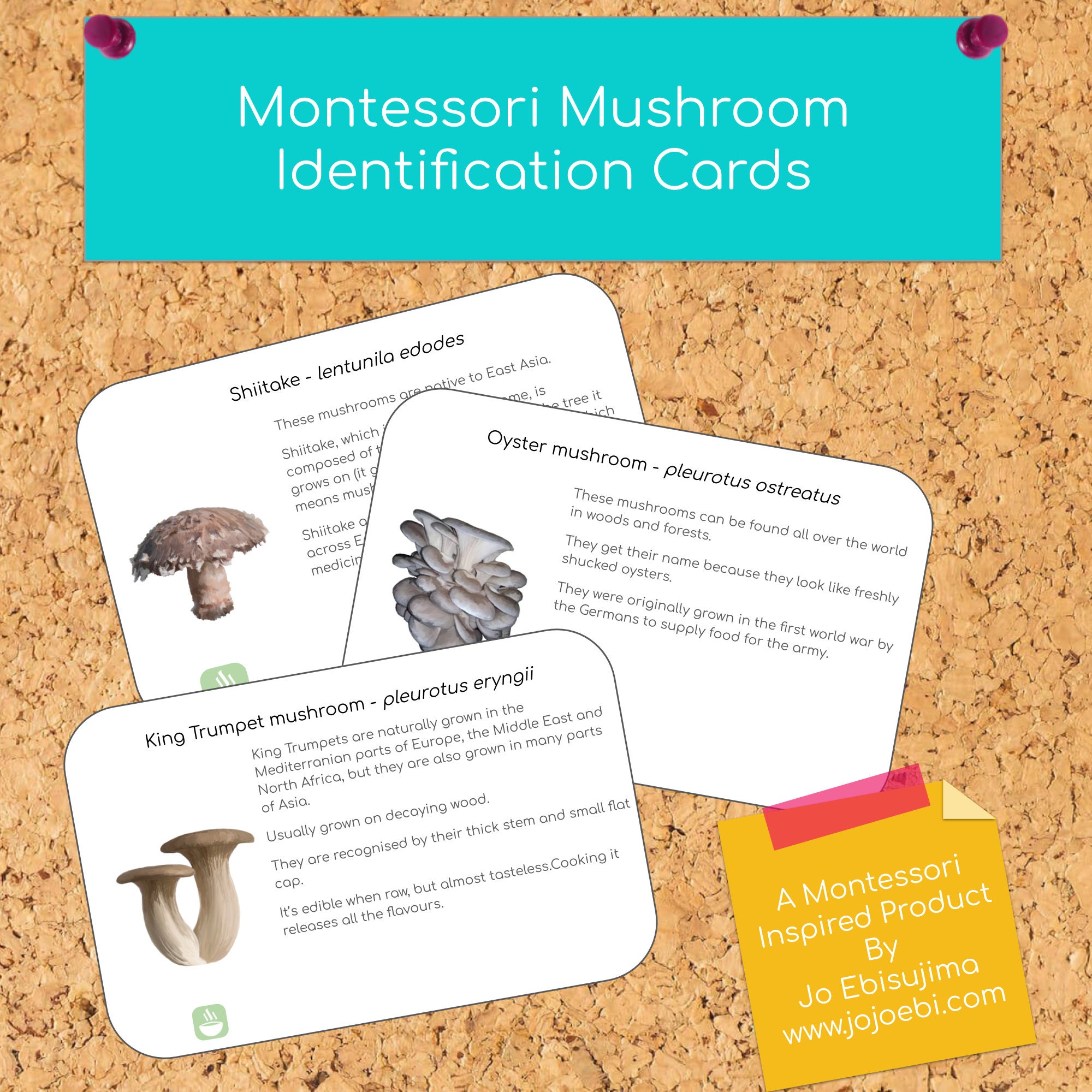 Montessori Mushroom Identification Cards PDF - Etsy