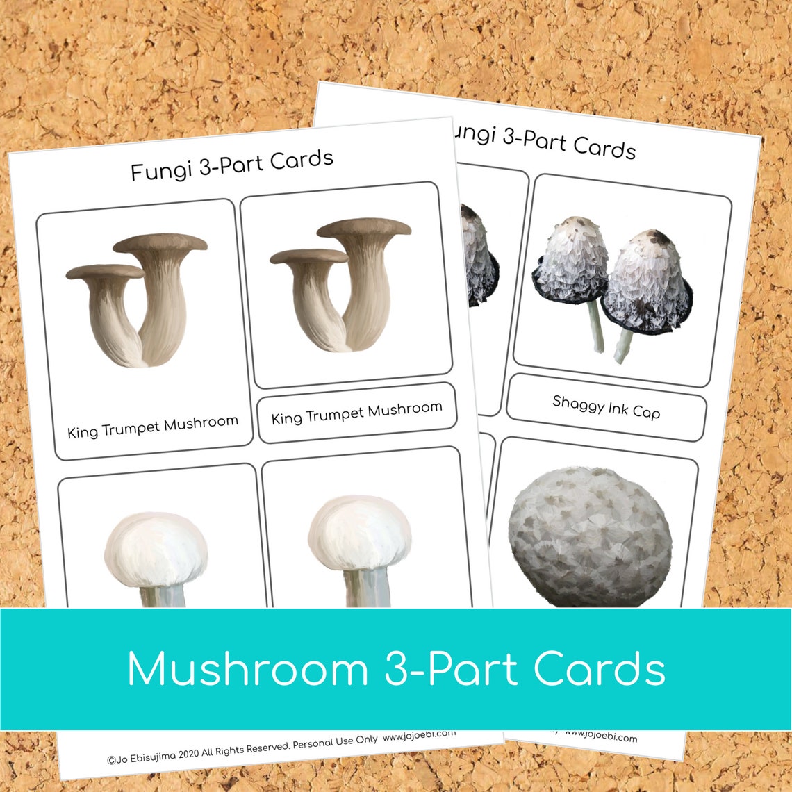 Montessori Mushroom 3 Part Cards - Etsy