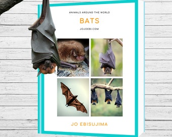 Montessori Parts of Cards - Etsy