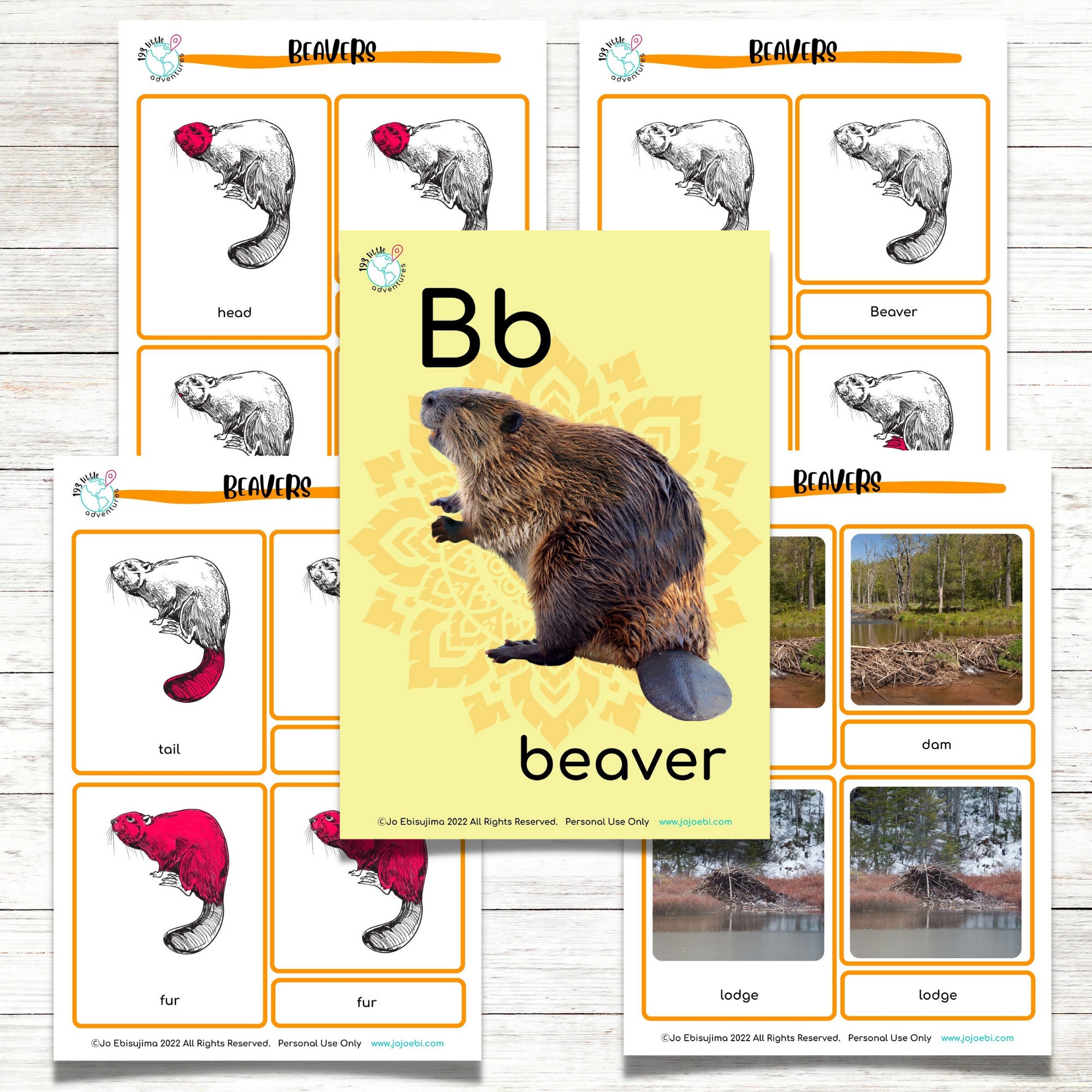 BEAVERS. 193 Little Adventures Pack - Printable Culture Packs for ...