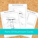 Montessori Parts of MUSHROOM Cards - Etsy