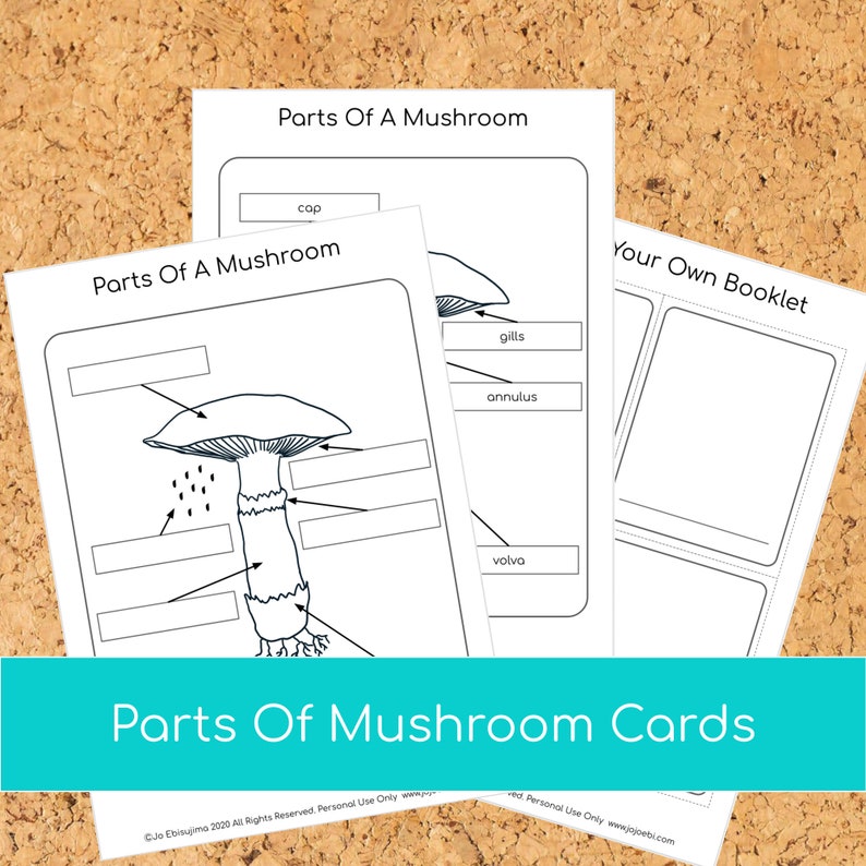 Montessori Parts of MUSHROOM Cards - Etsy