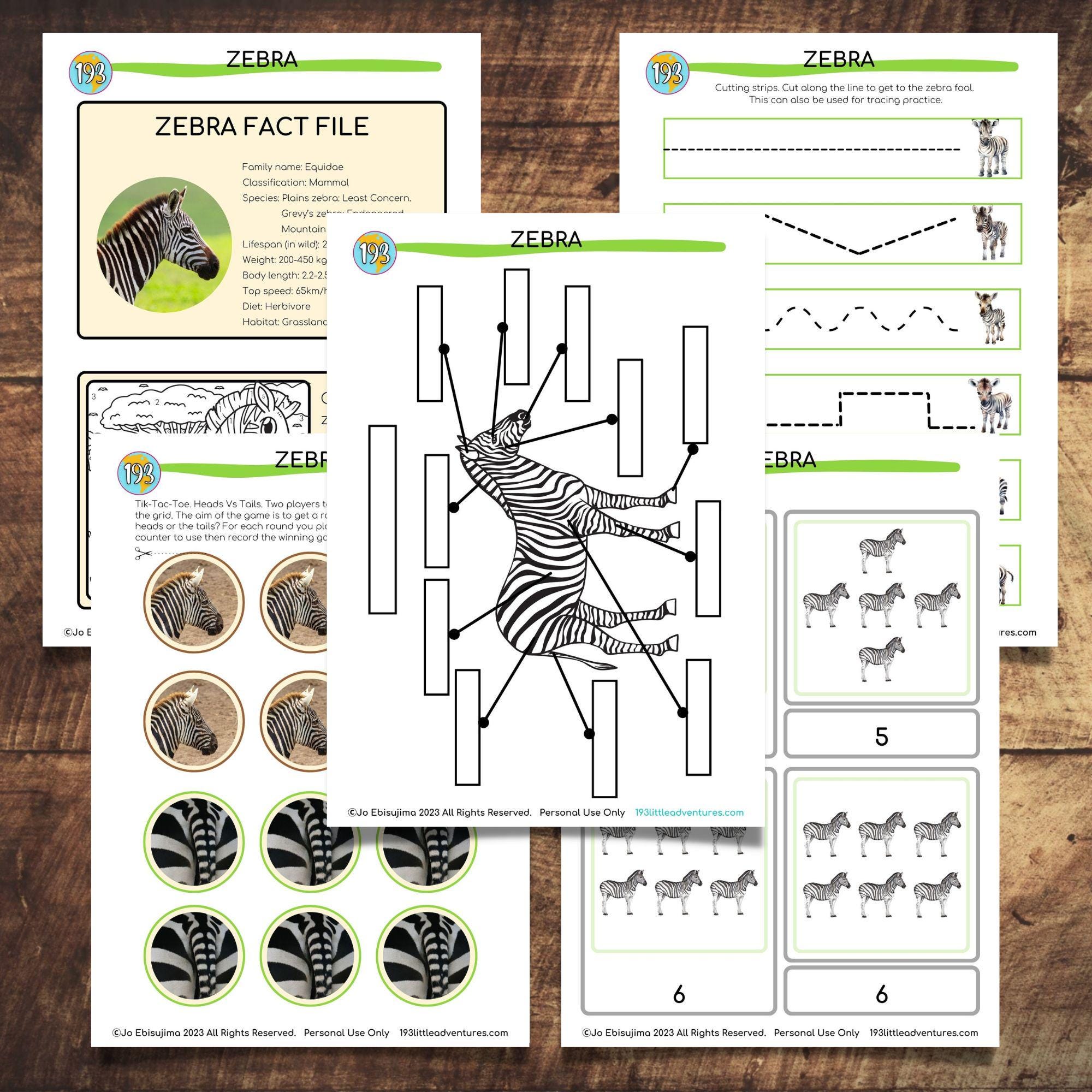 ZEBRA. 193 Little Adventures Pack - Printable Culture Packs for Curious ...