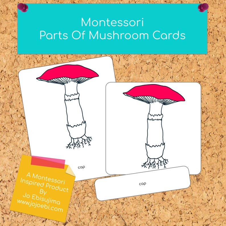 Montessori Parts of MUSHROOM Cards - Etsy