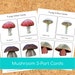 Montessori Mushroom 3 Part Cards - Etsy