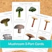 Montessori Mushroom 3 Part Cards - Etsy