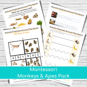 Monkey and Apes Montessori 3 Part Cards and Activities - Etsy