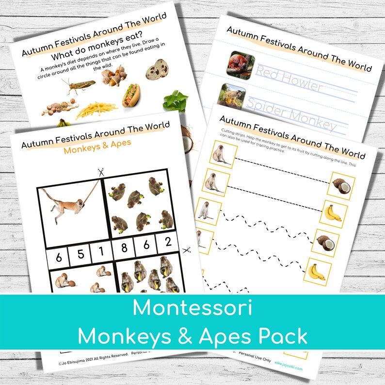 Monkey and Apes Montessori 3 Part Cards and Activities - Etsy