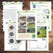 ZEBRA. 193 Little Adventures Pack - Printable Culture Packs for Curious ...