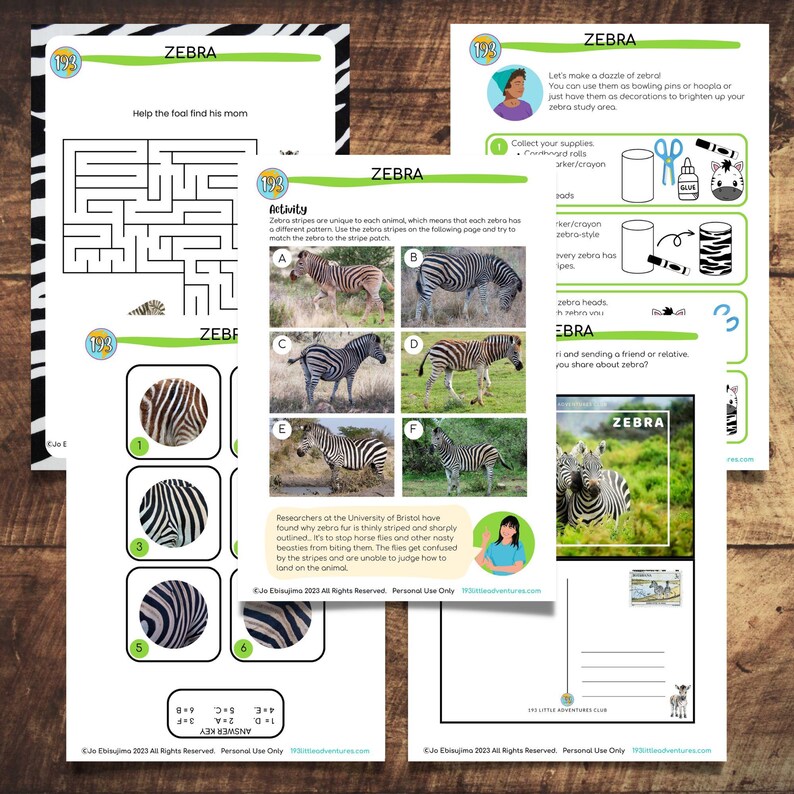 ZEBRA. 193 Little Adventures Pack - Printable Culture Packs for Curious ...