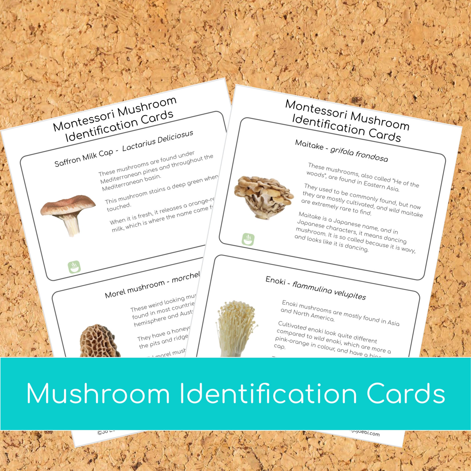 Montessori Mushroom Identification Cards PDF - Etsy