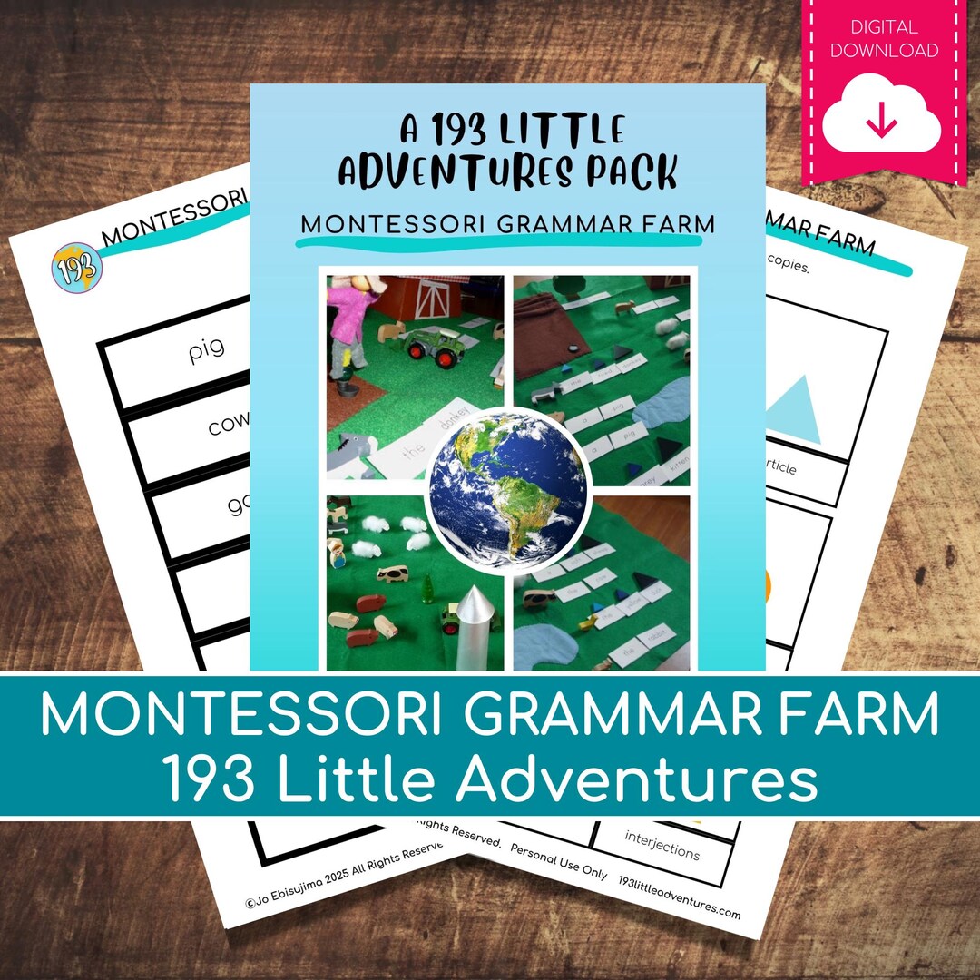 Montessori Grammar Farm: Naming Activity Cards (PDF) - Etsy