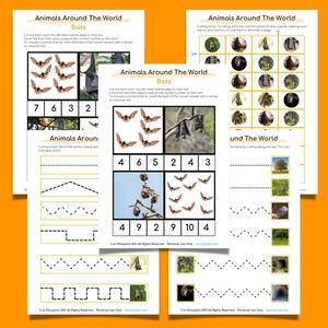 Montessori Parts of Bat 3 Part Cards PDF | Education PDF, Educational ...