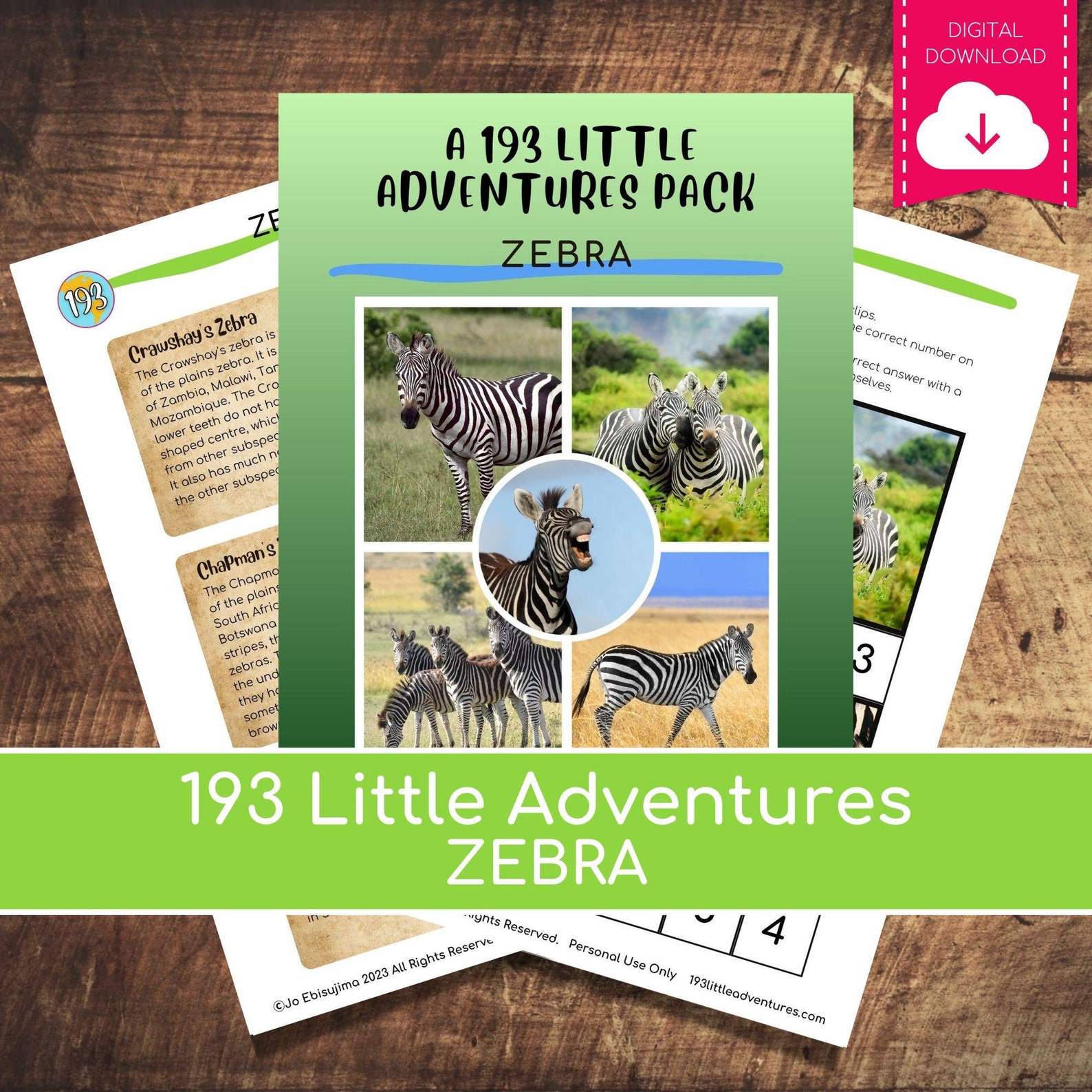 ZEBRA. 193 Little Adventures Pack - Printable Culture Packs for Curious ...