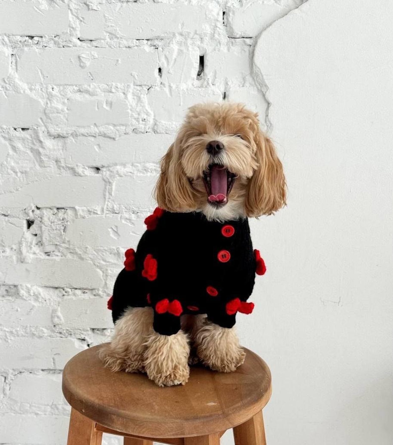 Knitted Pet Costume With Bows Custom Pet Sweatshirt Dog Sweater Custom ...