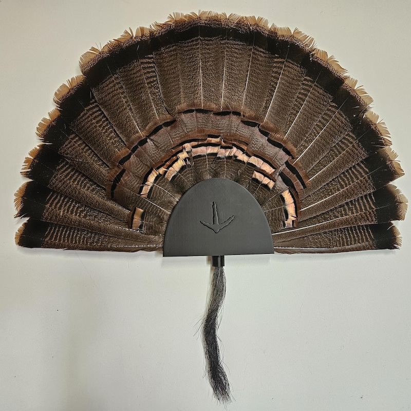 3 Fan Turkey Fan Mount - Etsy