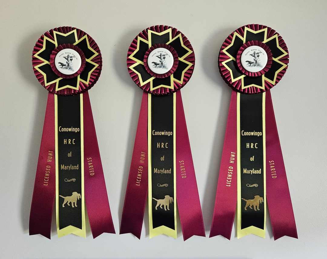 Ribbon Display / Ribbon Holder for Award Ribbons, Dog Ribbons, Horse ...