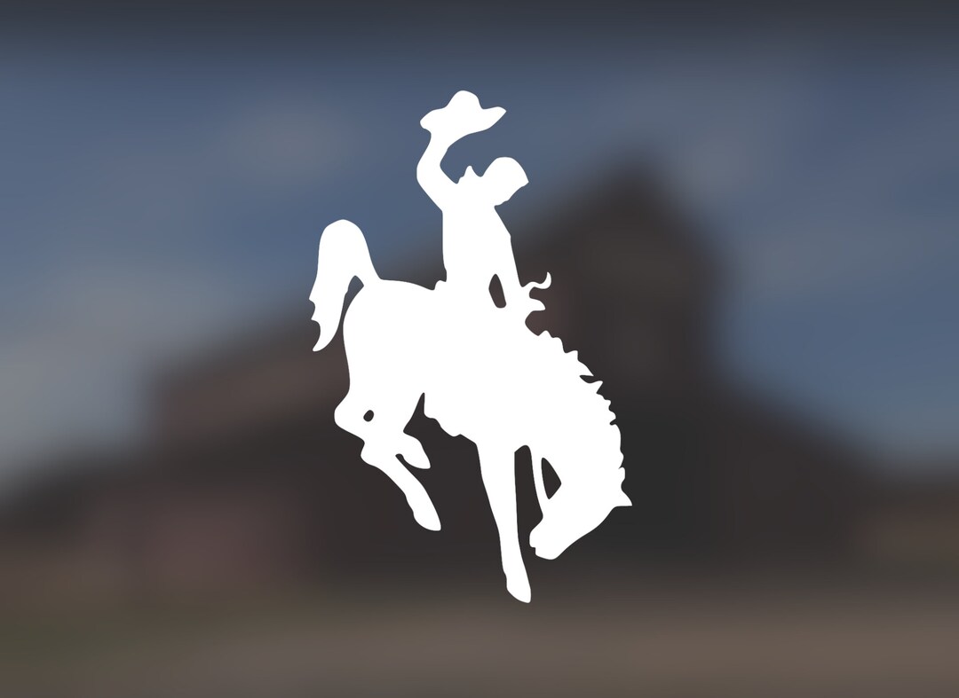 Rodeo Car Decal, Cowboy, Western, Country, Bronco Riding, Horse, Cowboy ...