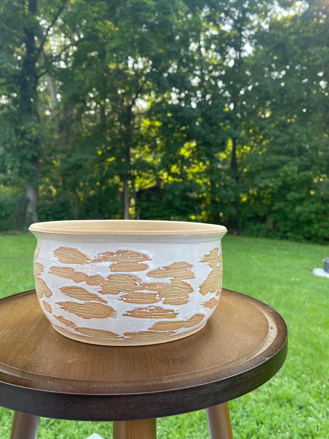 Birch Tree Planter/ Plant Pot - Etsy