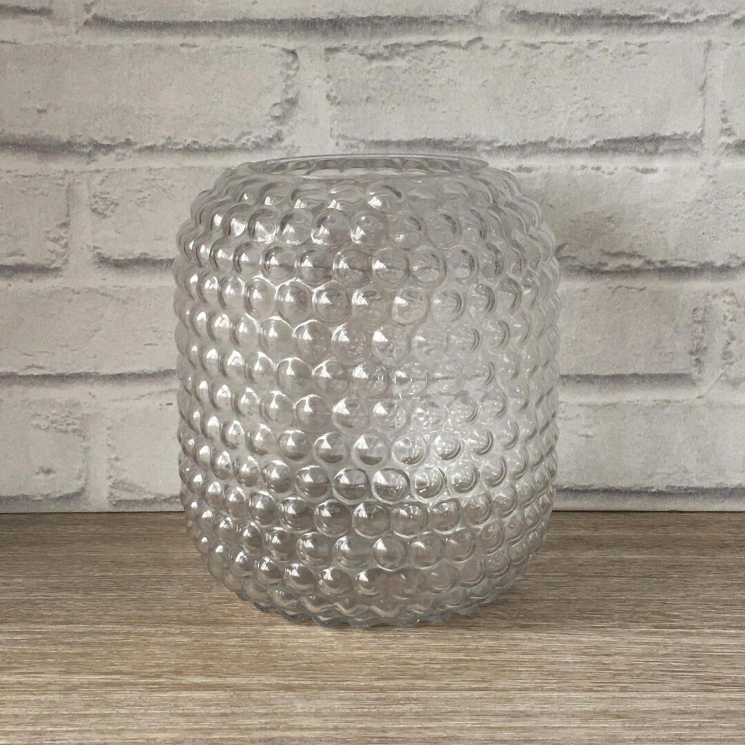 Clear Glass Bobble Bubbled Bubble Transparent Vase Planter Flower Vases ...