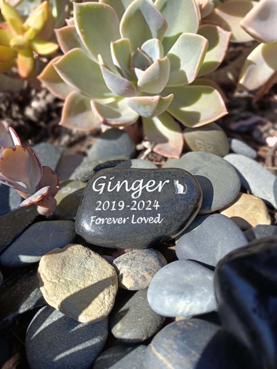 Engraved Stone Etched River Pebbles Inspiration Words Worry Stone Pet ...