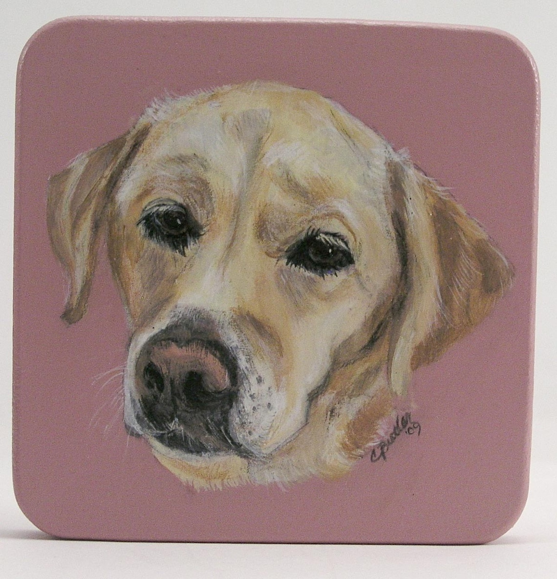 Custom Yellow Lab Pet Treat Jar, Handpainted Pet Treat Jar, Custom Pet ...