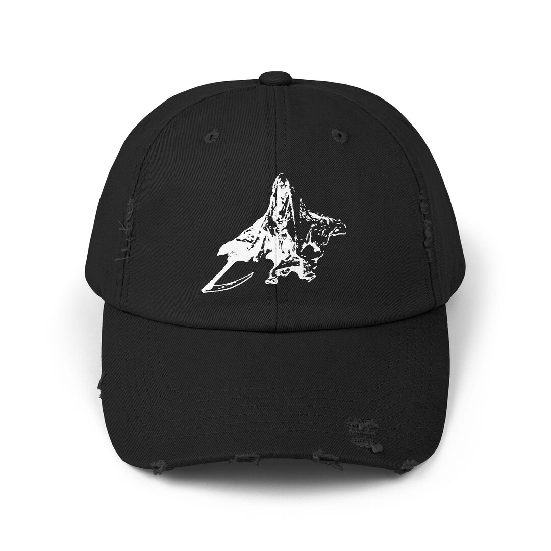 Gustave Dore Death Reaper Unisex Distressed Cap Hat - Etsy