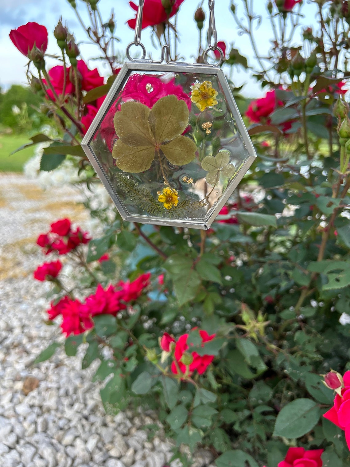 Four-leaf Clover Sun-catcher - Etsy