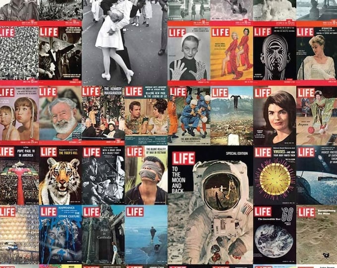 October 25 1963 Life Magazine Surfer Girl Yvette Mimieux on Cover ...