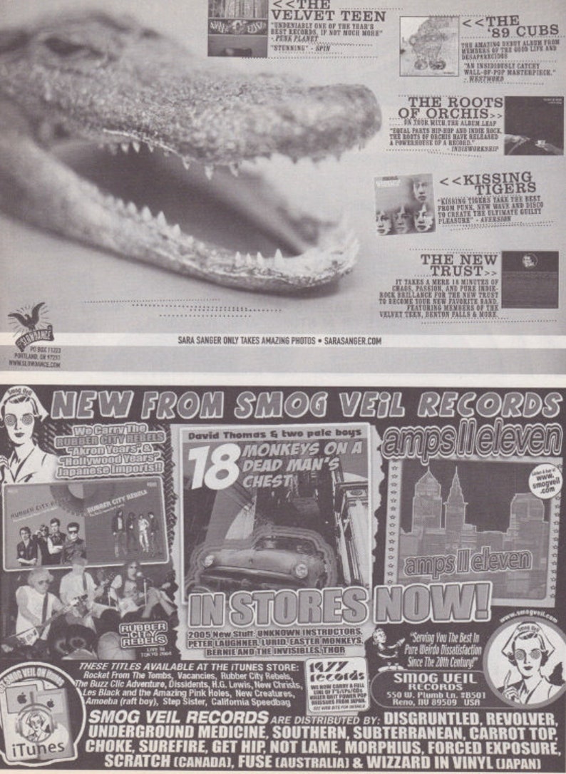 Punk Planet Magazines 75 Issues 80s Punk Culture, Punk Subculture PDF ...